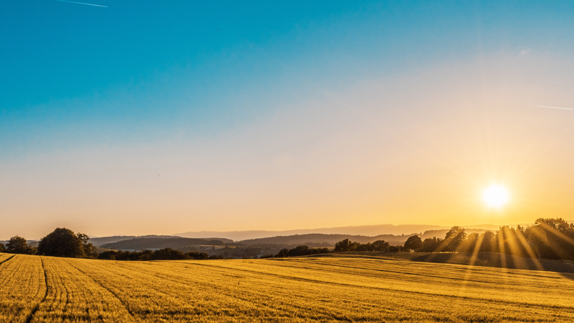 Blackstone Battery | Octopus Investments Australia