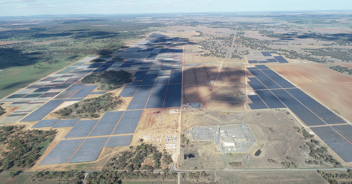 Octopus: The fund with all 8 arms on this $170 billion thematic ...