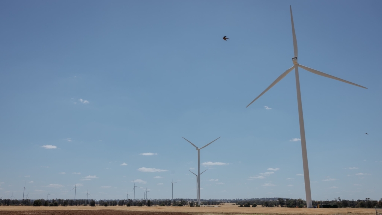 Dulacca Wind Farm | Octopus Investments Australia