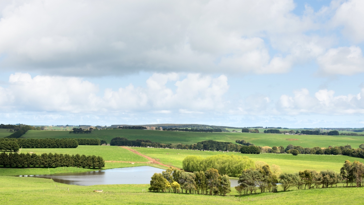Octopus Australia begins construction of its Fulham Solar Farm and ...