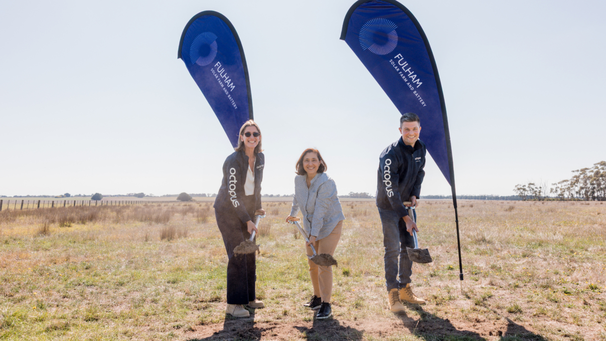 Fulham Solar Farm and Battery | Octopus Investments Australia