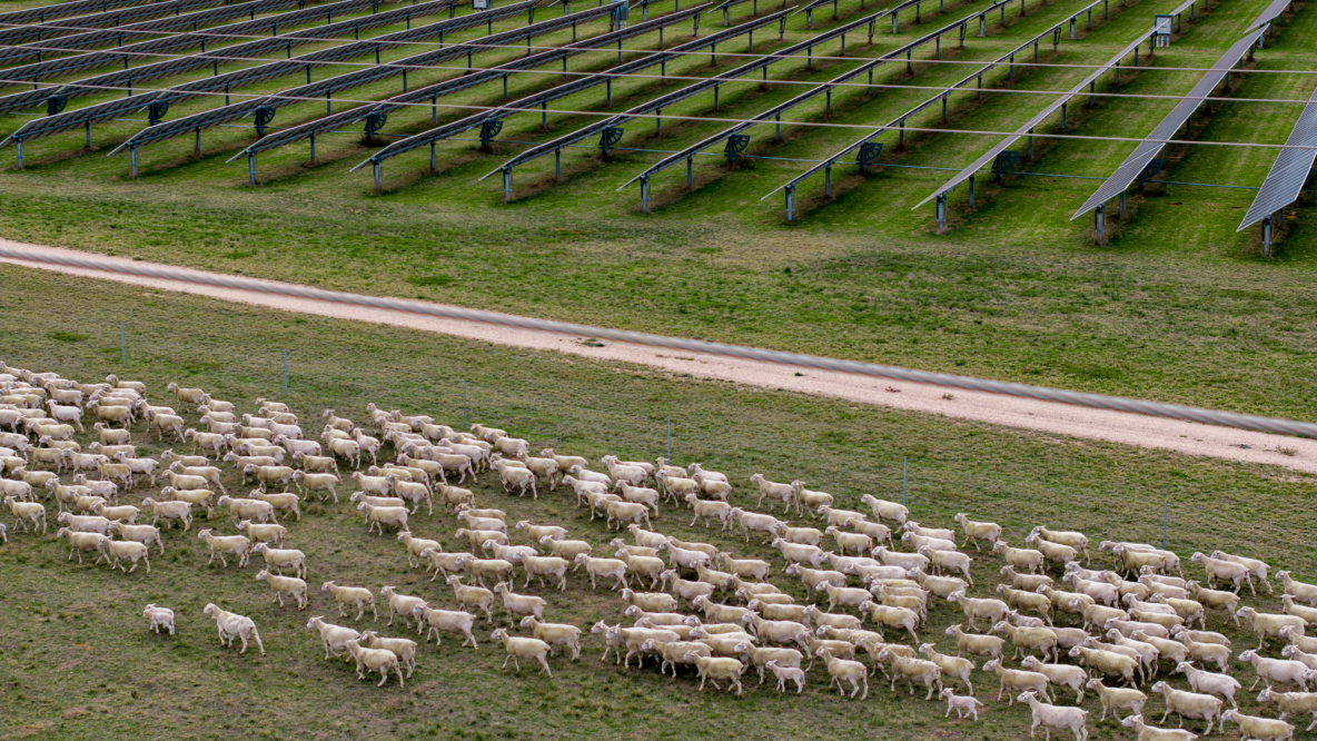 Octopus Australia begins construction of its Fulham Solar Farm and ...