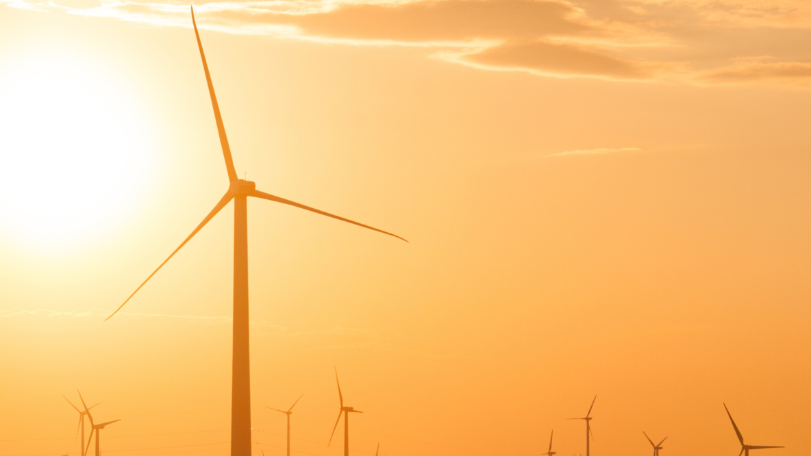 Octopus Australia begins construction of its Fulham Solar Farm and ...